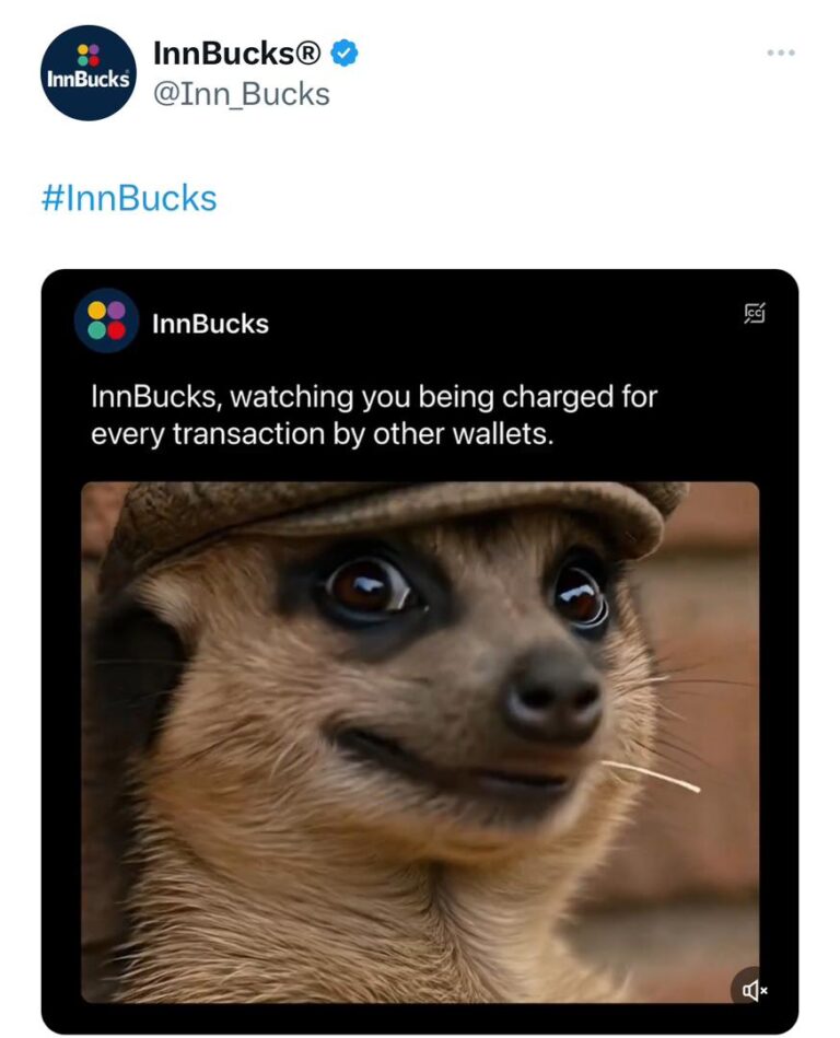 Corporate Clapbacks and Meme Mayhem: Meerkat Takes Over African Social ...