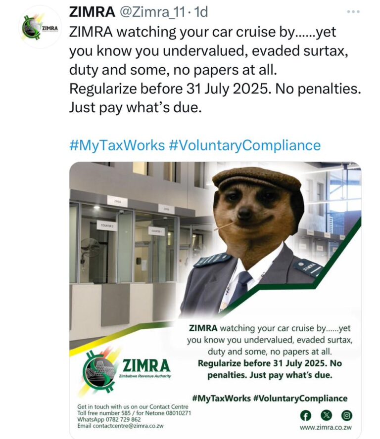 Corporate Clapbacks and Meme Mayhem: Meerkat Takes Over African Social ...